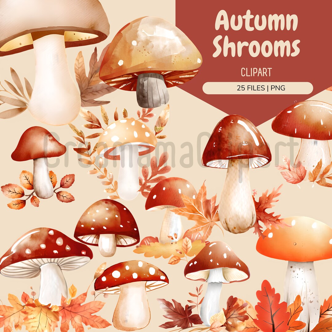 Clipart, Autumn, Mushrooms, Watercolor, PNG, Fall, - Etsy