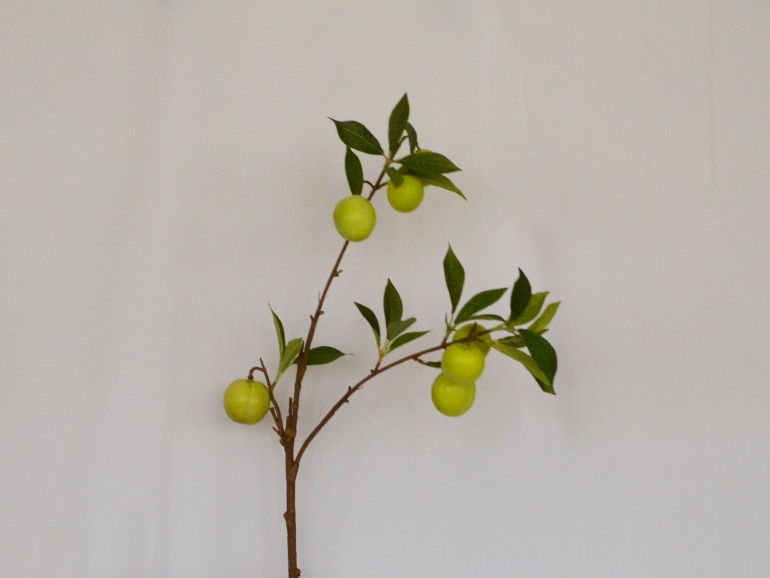 Artificial Plum Branch With Leaves and Fruit, Faux Plum Tree Stem ...