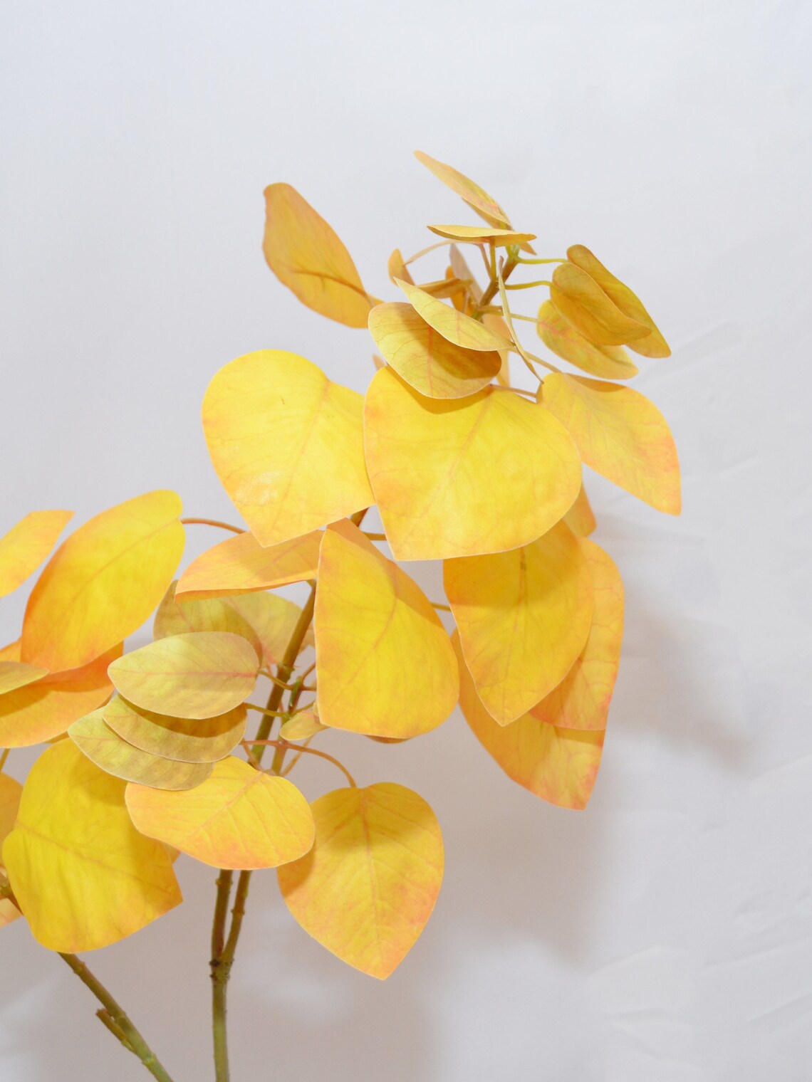 Artificial Cotinus Coggygria Leaves Branch, Smoke Tree Leaves, Faux ...