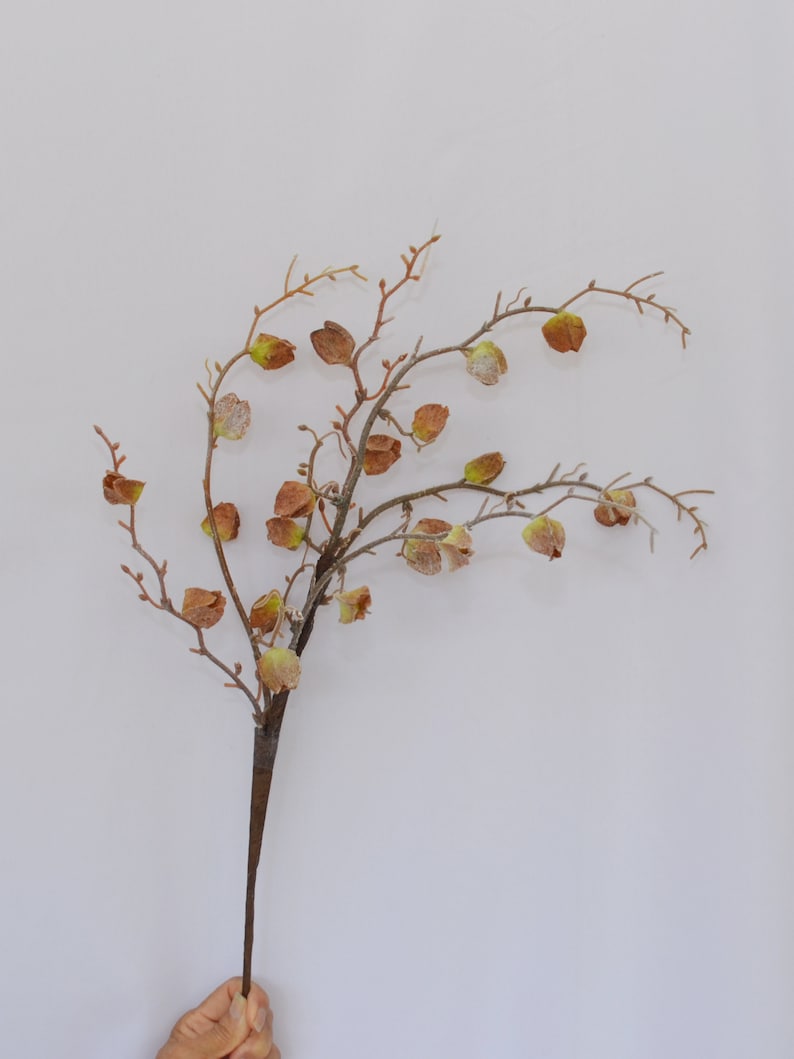 Artificial Cape Gooseberry Stem | Physalis Peruviana, Dried Lantern ...