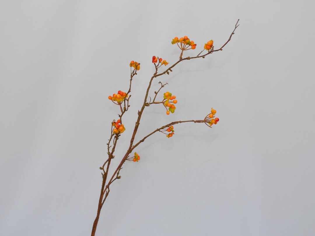 Artificial Bittersweet Vine, Faux Berry Branch, Autumn Harvest Berries ...