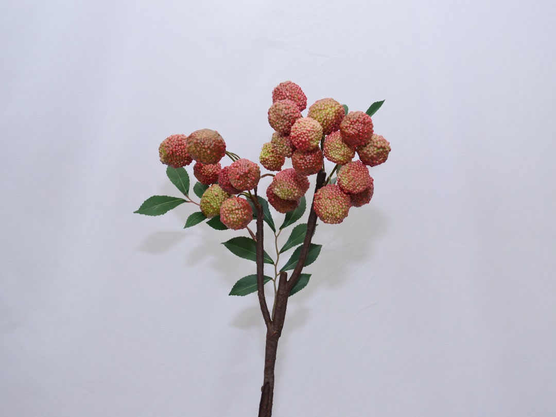 Artificial Lychee Fruit Branch, Realistic Faux Lychee Plant for Home ...