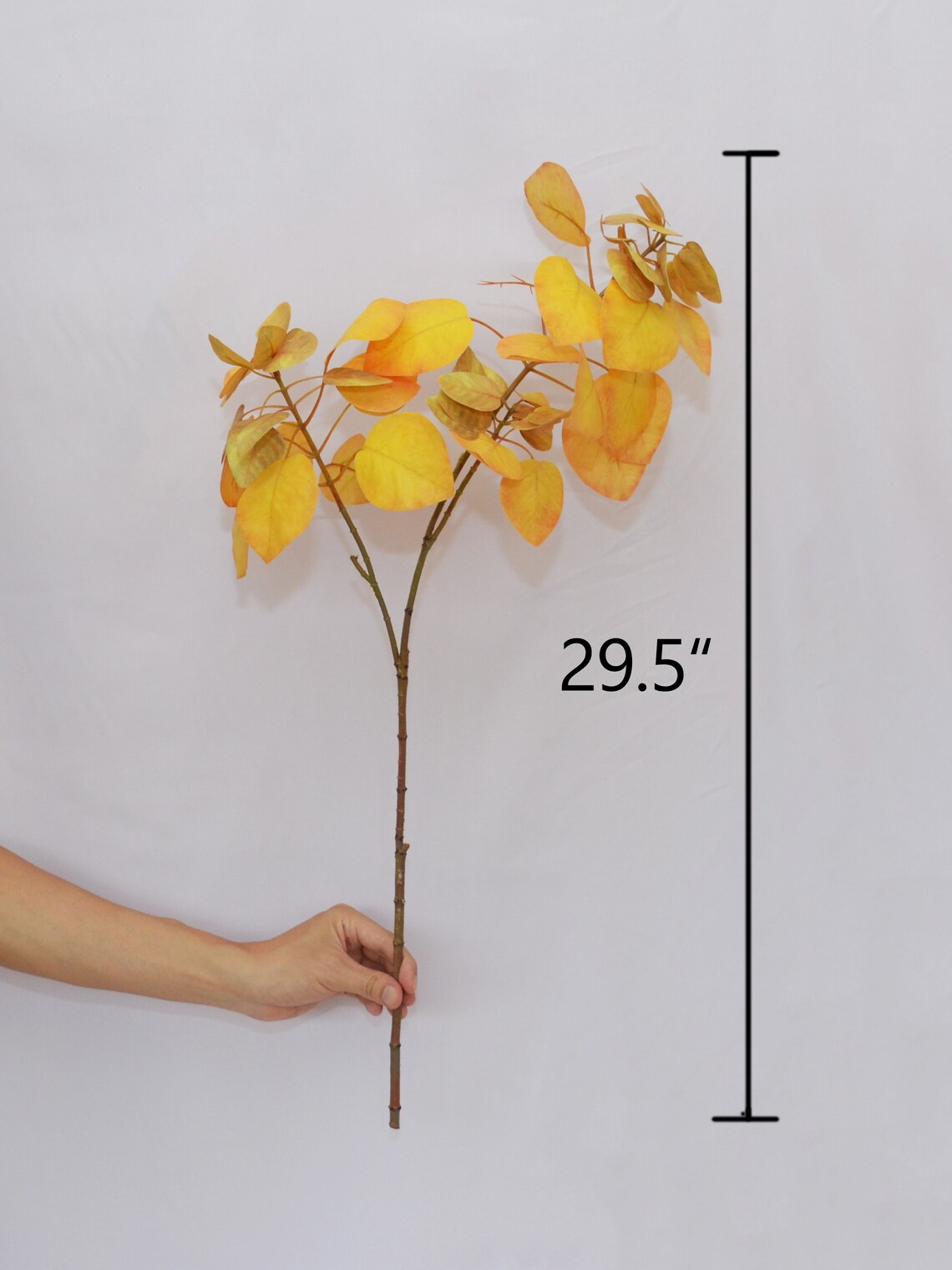 Artificial Cotinus Coggygria Leaves Branch, Smoke Tree Leaves, Faux ...