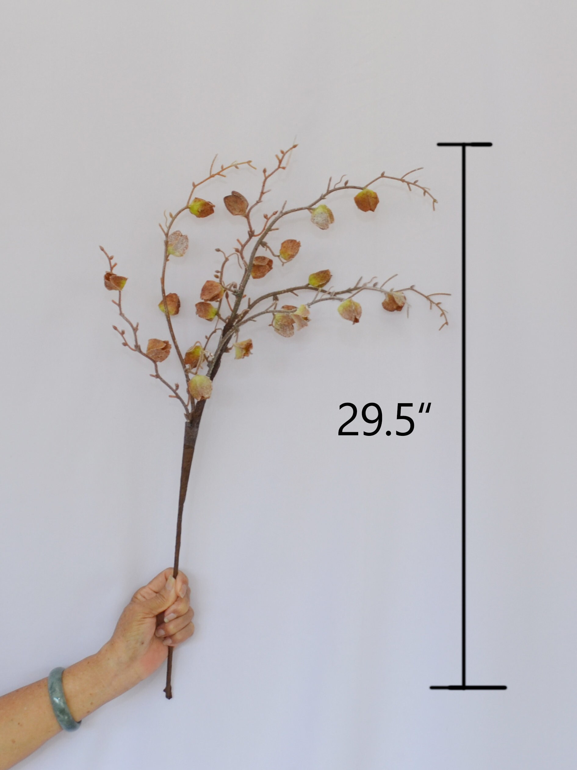 Artificial Cape Gooseberry Stem | Physalis Peruviana, Dried Lantern ...