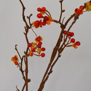 Artificial Bittersweet Berry Branch, Faux Berry Stem for Autumn Floral ...