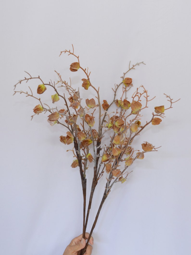 Artificial Cape Gooseberry Stem | Physalis Peruviana, Dried Lantern ...