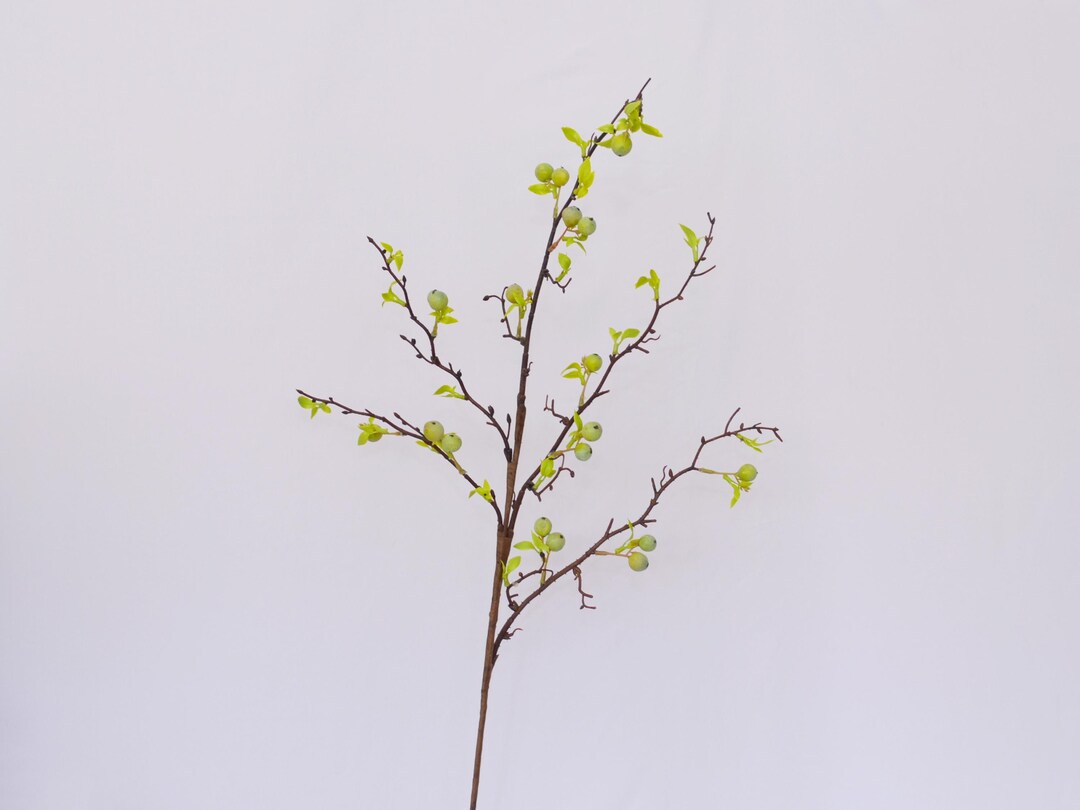 Artificial Crabapple Branch, Realistic Green Fruit Stem, Rustic Small ...