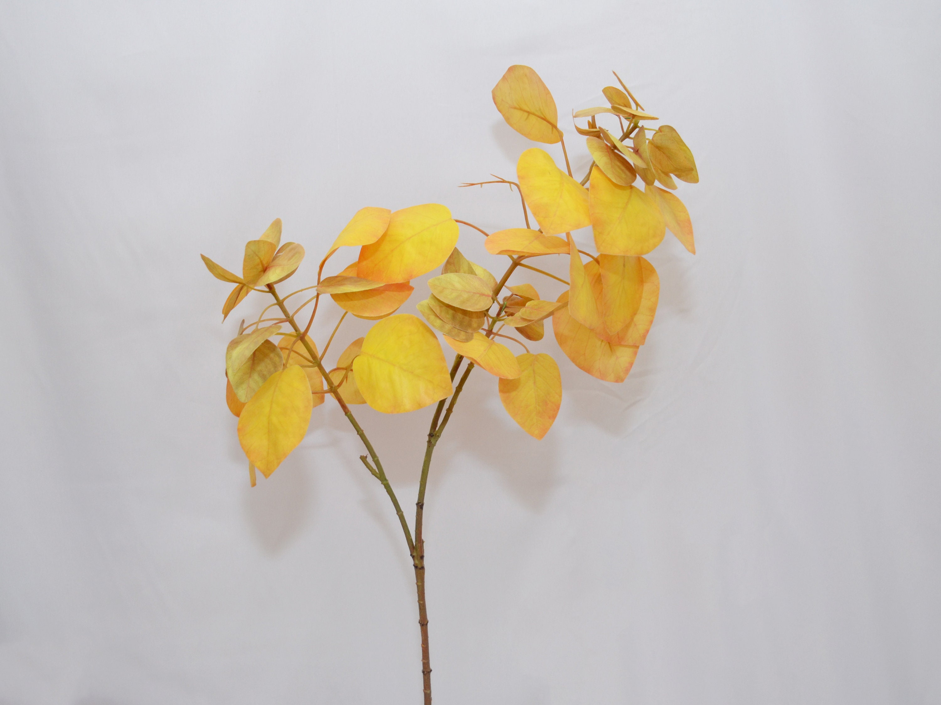 Artificial Cotinus Coggygria Leaves Branch, Smoke Tree Leaves, Faux ...