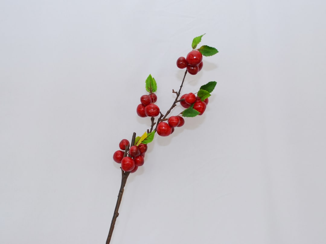 Artificial Cherry Branch, Faux Cherry Stem, Realistic Red Cherry Decor ...