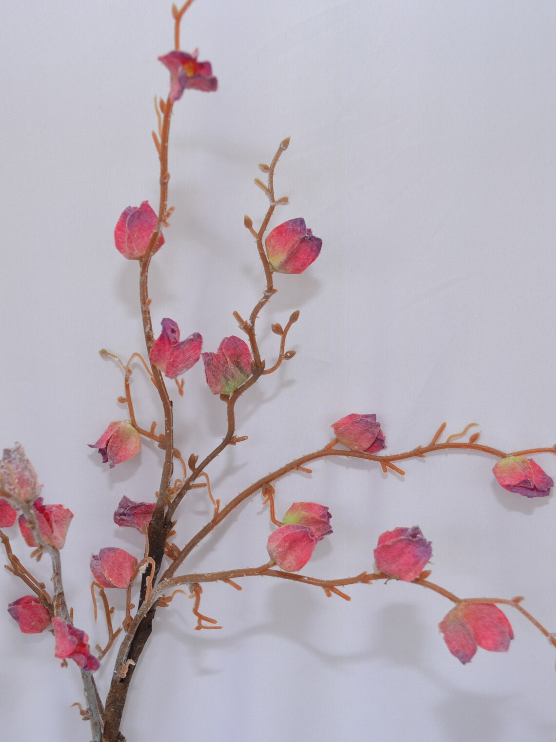 Artificial Cape Gooseberry Stem | Faux Dried Lantern Flowers, Rustic ...