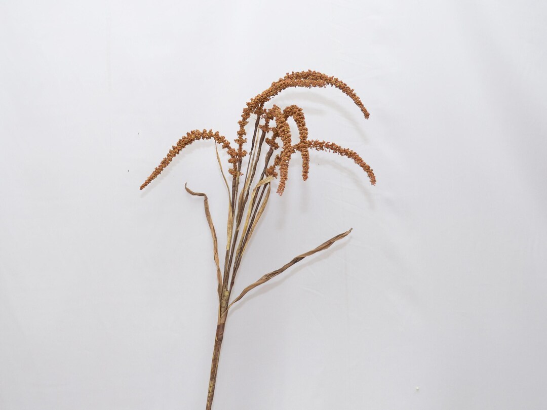 Artificial Brown Millet Spray, Faux Dried Grass Stem, Rustic Farmhouse ...