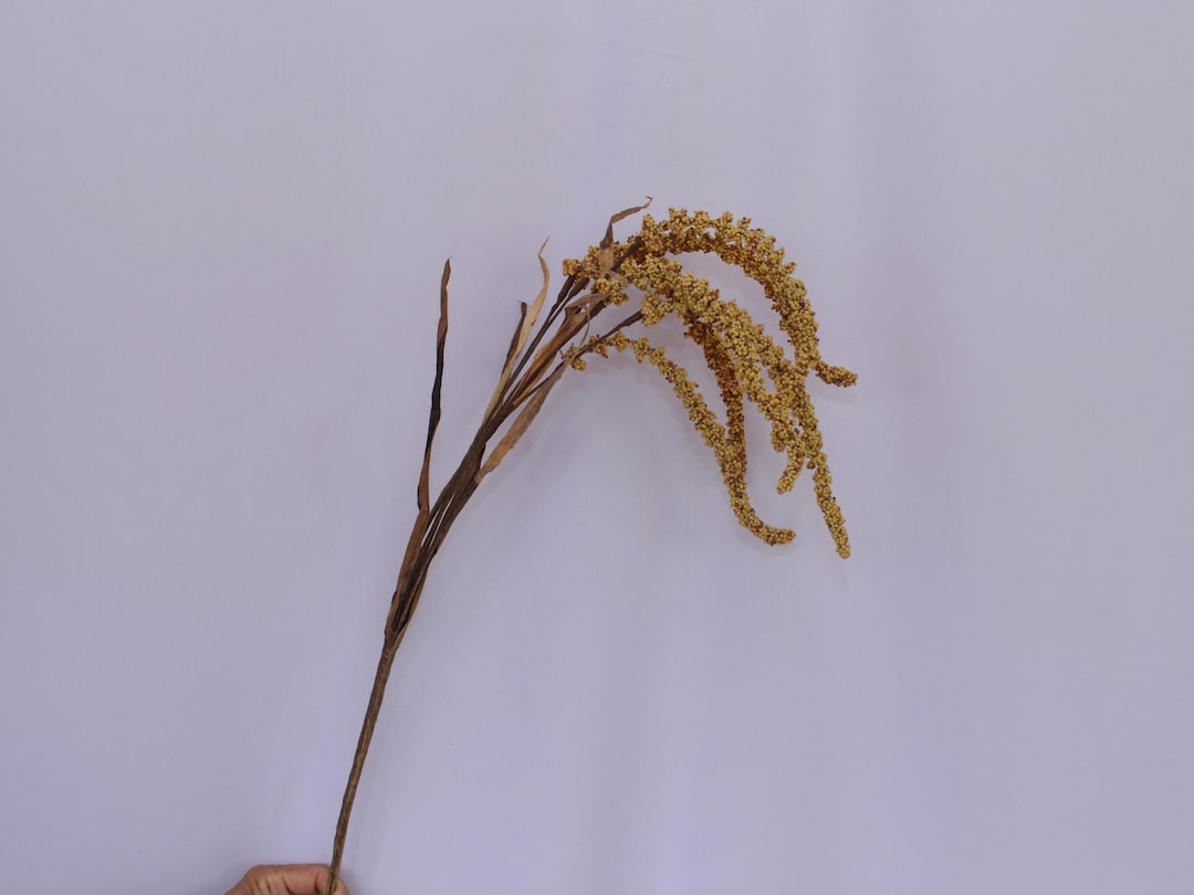 Artificial Millet Spray, Faux Dried Grass Stem, Rustic Fall Decor ...
