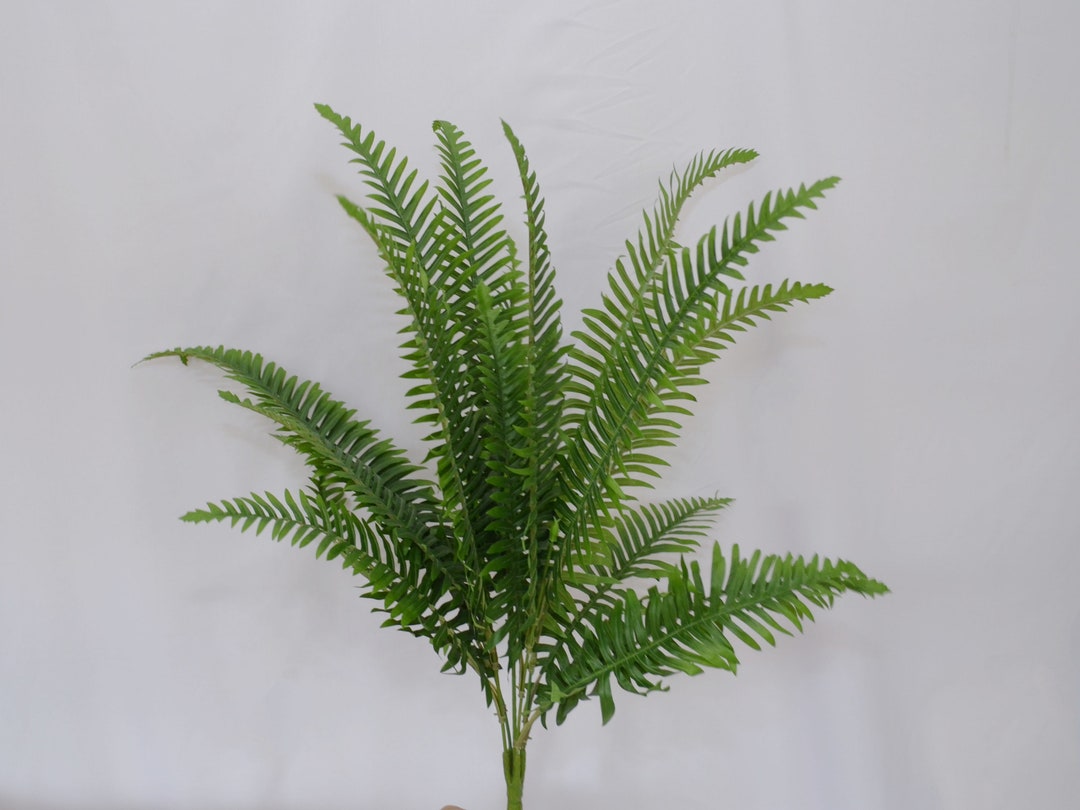 Artificial Fern Plant, Tropical Plant, Realistic Greenery, Home Floral ...