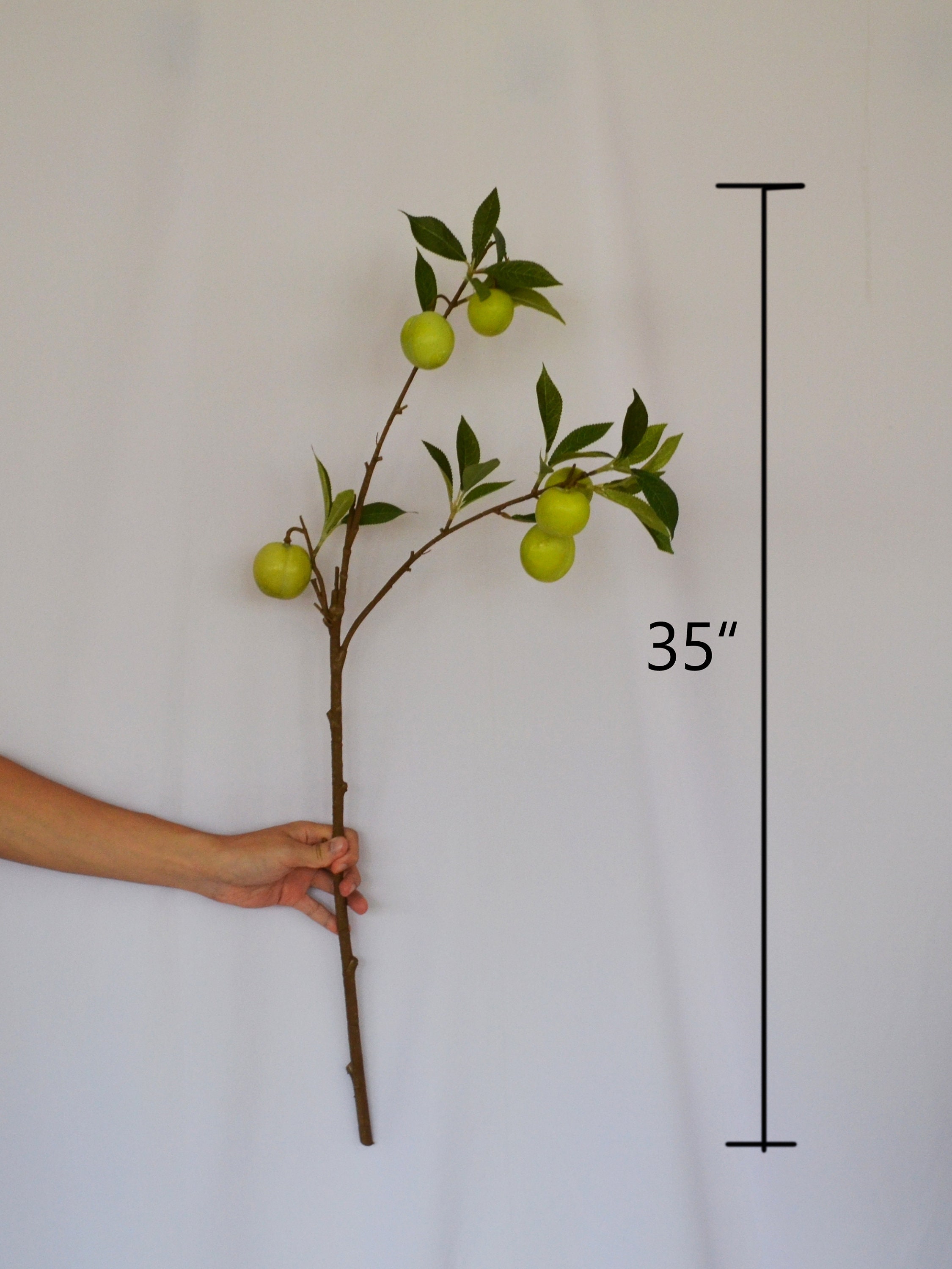 Artificial Plum Branch With Leaves and Fruit, Faux Plum Tree Stem ...