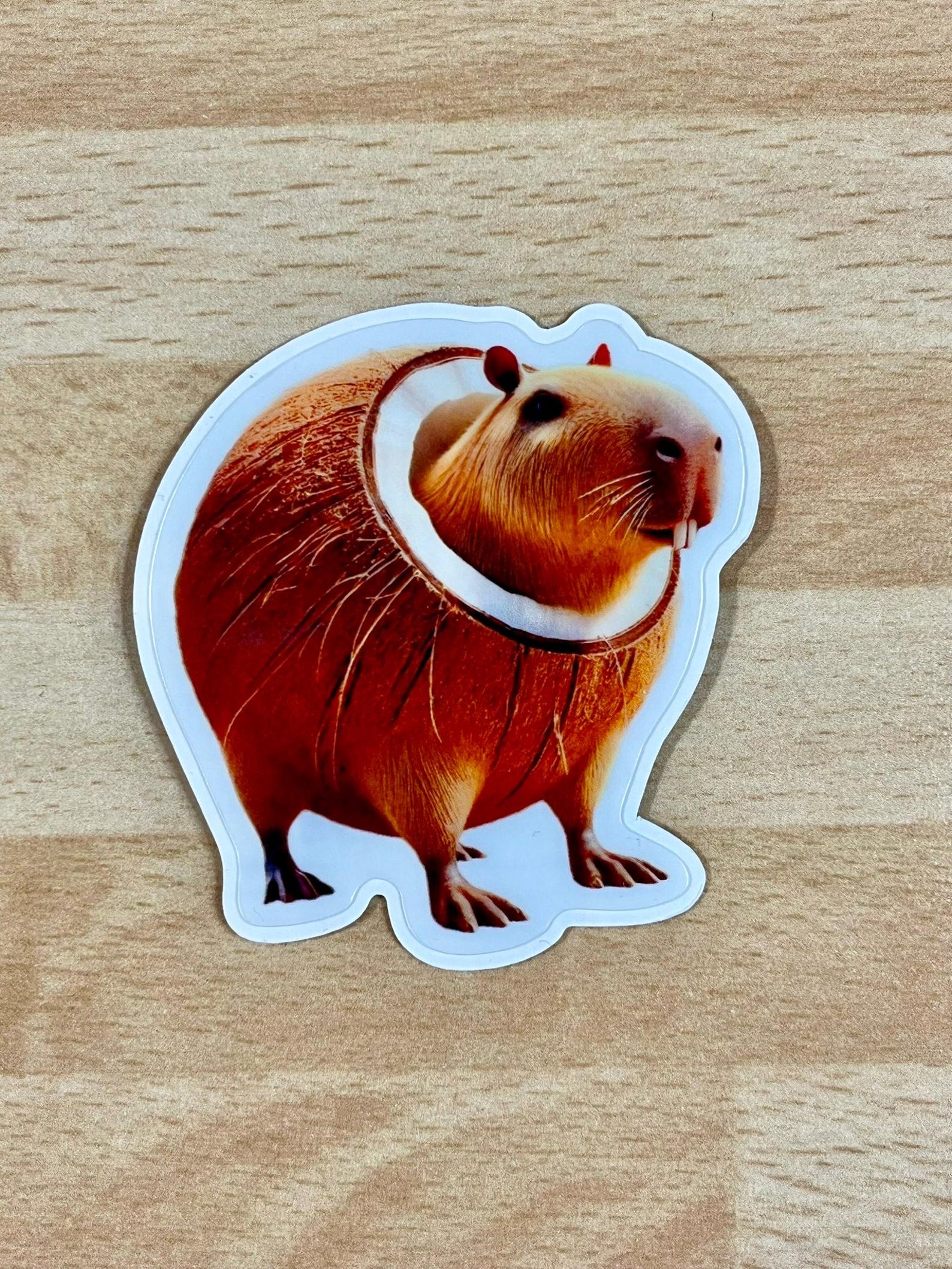 Italian Brainrot Stickers - Waterproof - Etsy