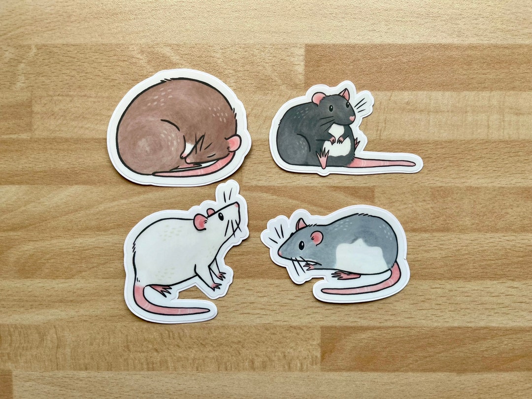 Cute Little Pet Rat Friends Sticker Set 2. - Etsy