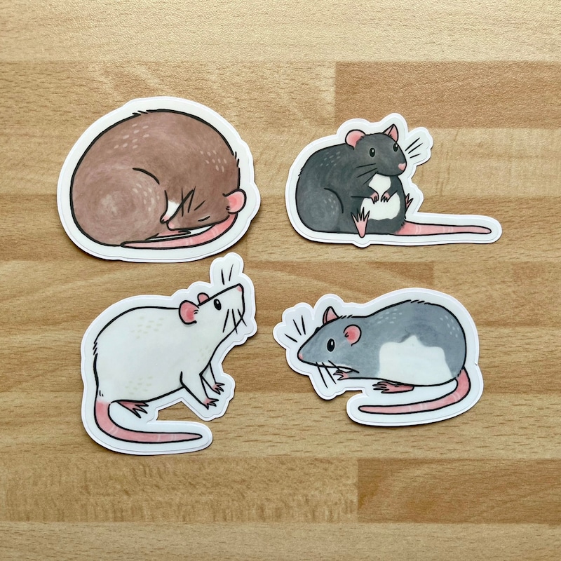 Rat Stickers - Etsy