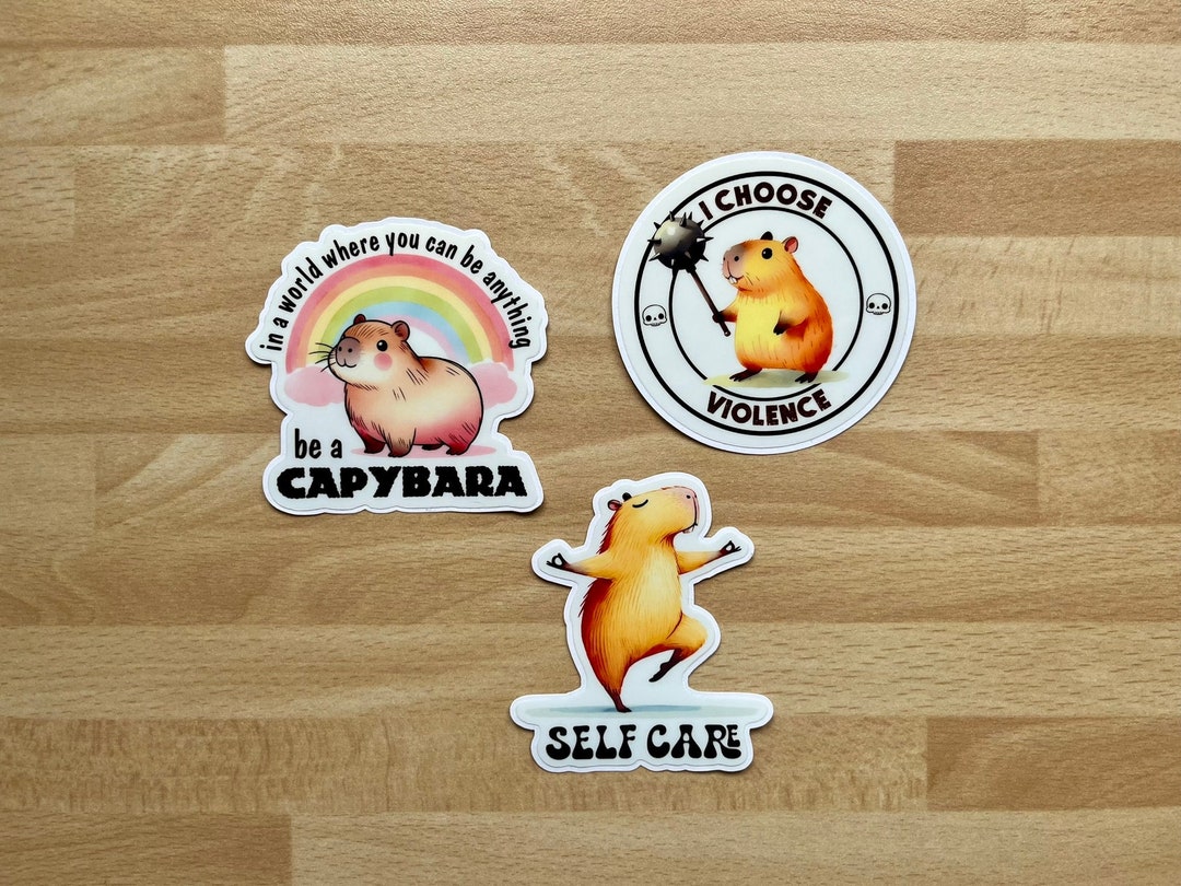 Cute Capybara Sticker Set - Etsy