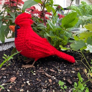 Cardinal Crochet Amigurumi Pattern PDF - Realistic Cardinal - Etsy