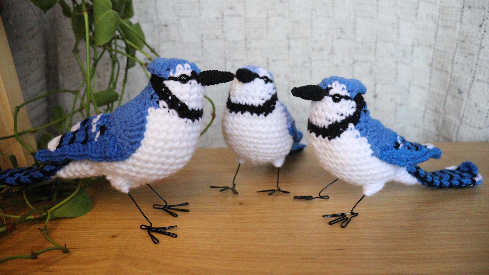 Blue Jay Crochet Pattern PDF: Realistic Amigurumi Bird (advanced Level ...