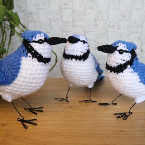 Blue Jay Crochet Amigurumi Pattern PDF - Realistic Blue Jay Bird - Etsy