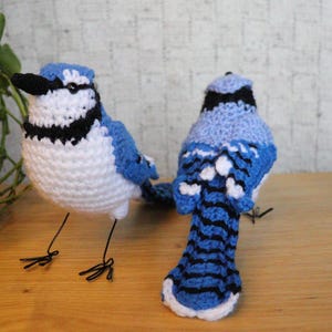 Blue Jay Crochet Amigurumi Pattern PDF - Realistic Blue Jay Bird - Etsy