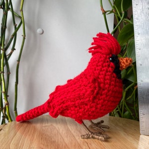 Cardinal Crochet Amigurumi Pattern PDF - Realistic Cardinal - Etsy