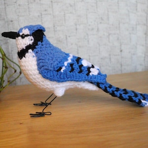 Blue Jay Crochet Amigurumi Pattern PDF - Realistic Blue Jay Bird - Etsy