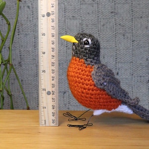 American Robin Bird Crochet Amigurumi Pattern PDF - Realistic Robin - Etsy