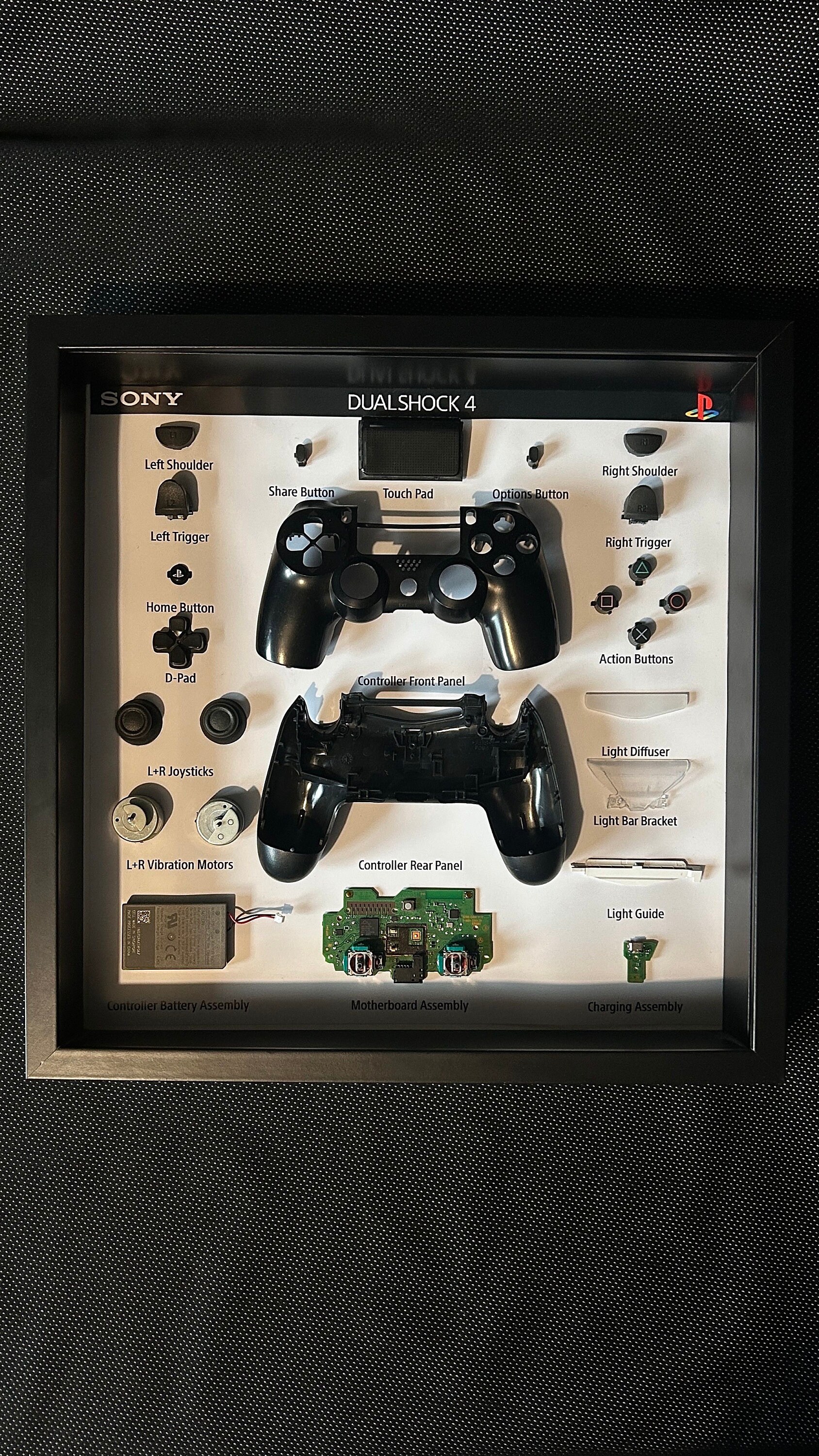 Teardown Dualshock 4 Controller Display Classic Edition black Bar at ...