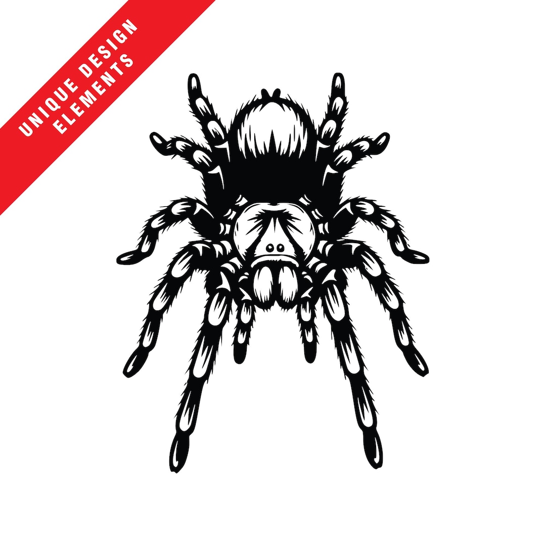 Tarantula Spider Vector Clipart Bundle - EPS, SVG, PNG Graphics ...