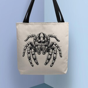 Jumping Spider Vector Clipart Set: Original Illustration (digital ...