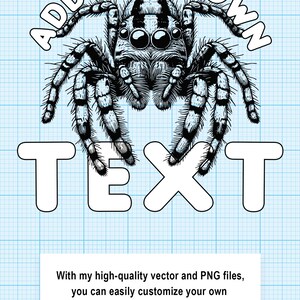 Jumping Spider Vector Clipart Set: Original Illustration (digital ...