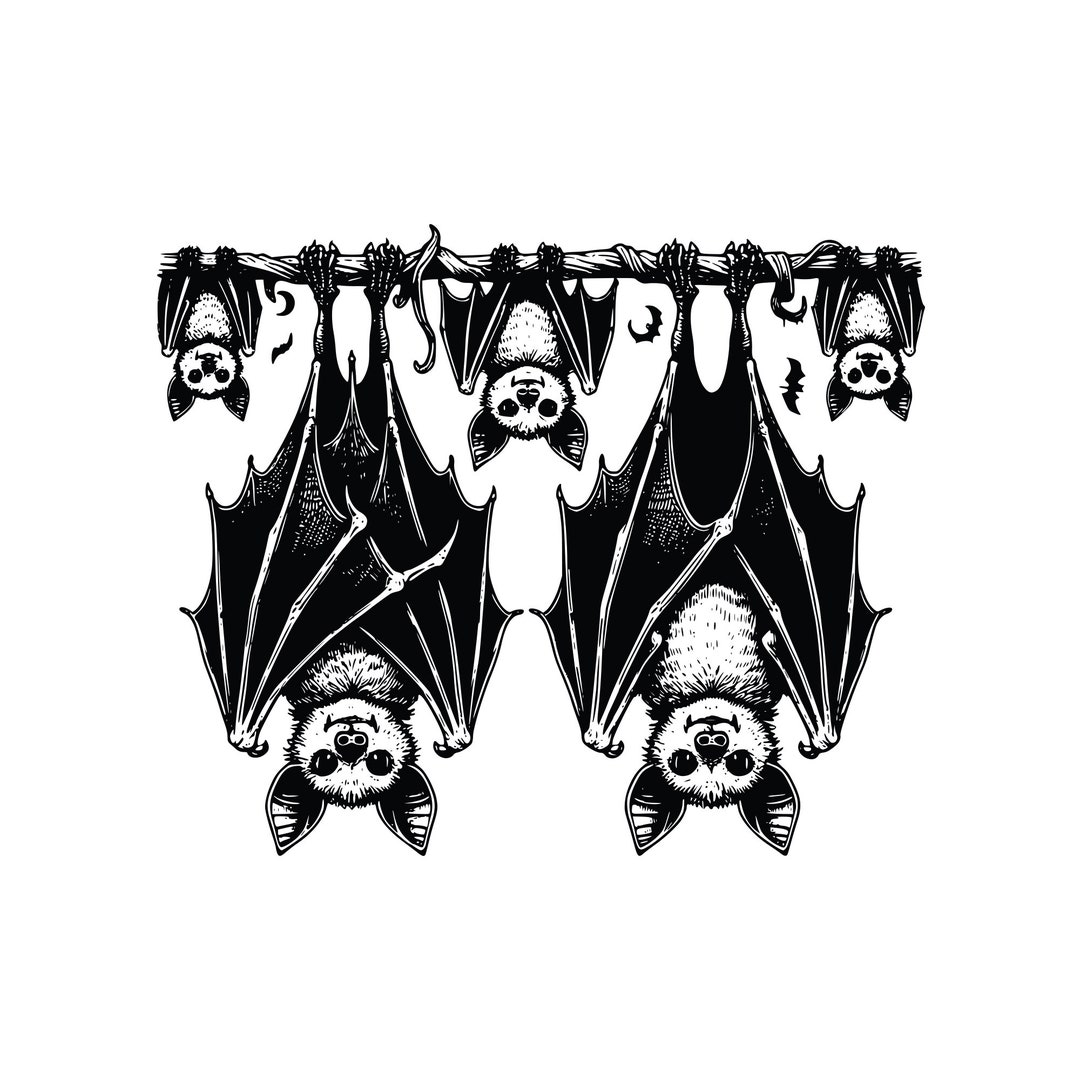 Bat_004, AI, PNG, SVG Format Bundle, Bat Family Clipart, Bat Family ...