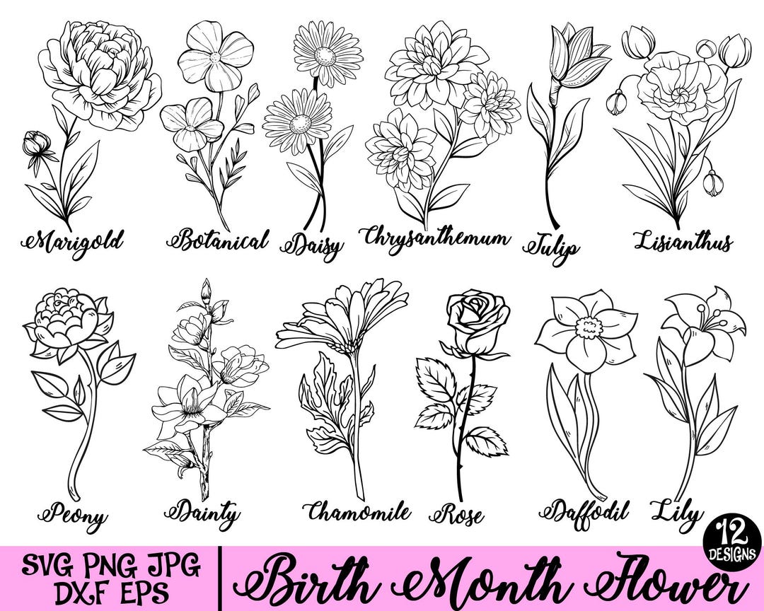 Birth Month Flowers Svg Bundle, Birthday Clipart, Month Floral ...