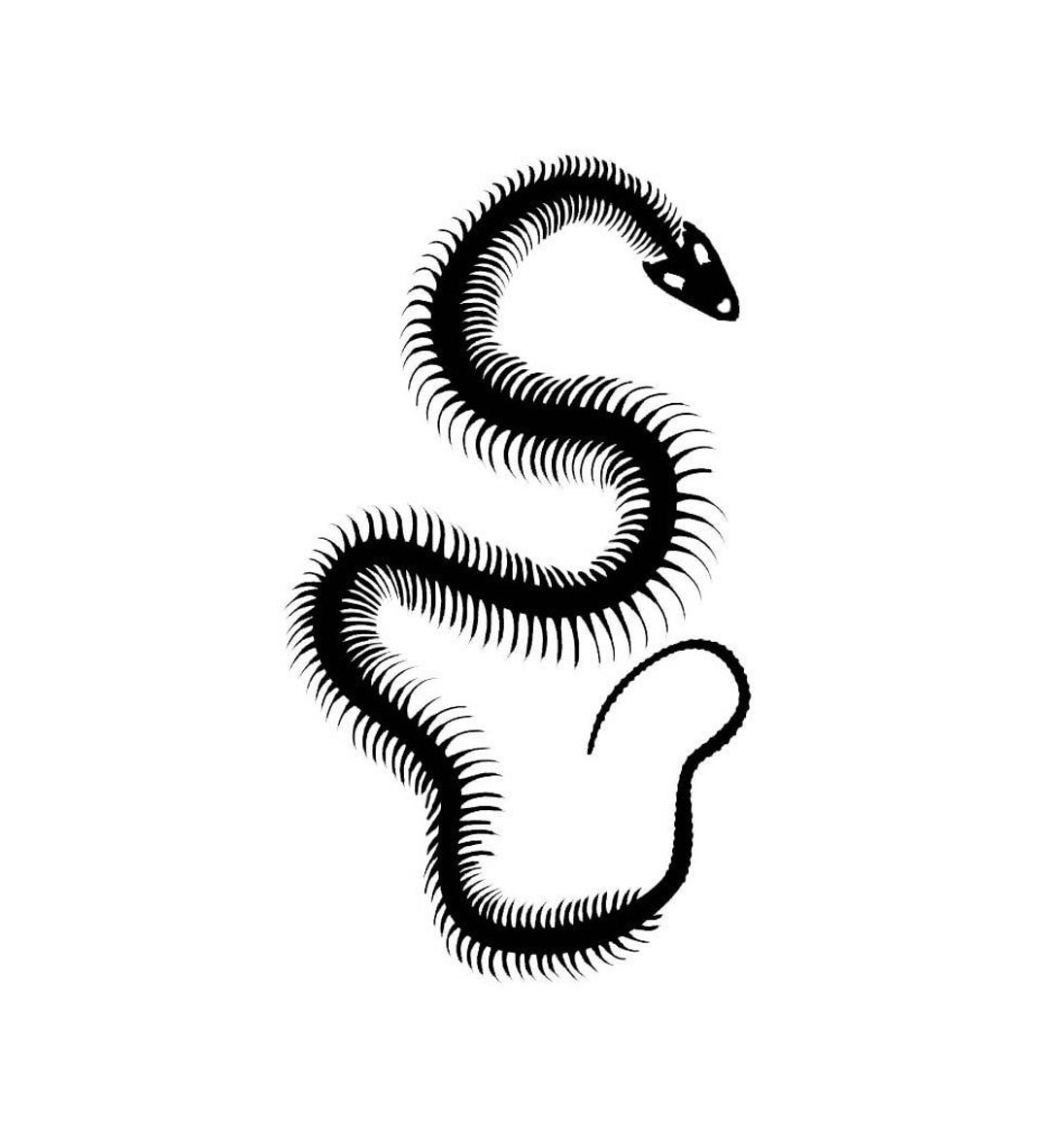 Snake Skeleton Paper Cut for Hanging or Framing by Ulla Milbrath - Etsy