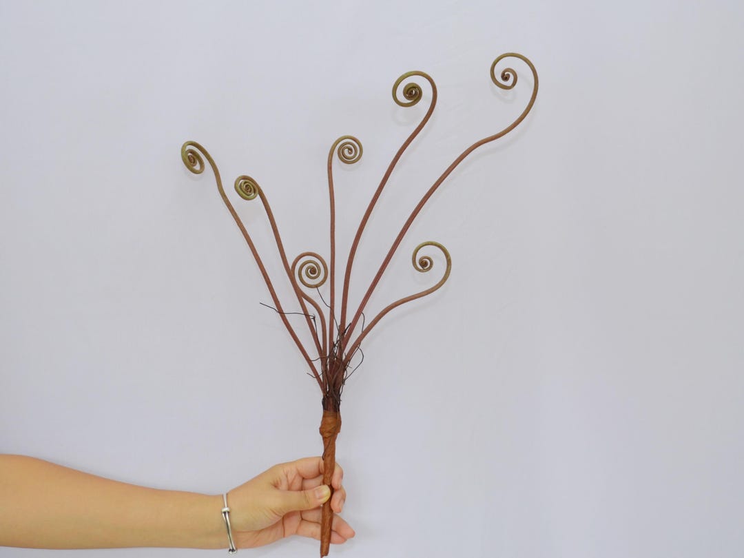 Artificial Fiddlehead Fern Curl, Decorative Spiral Fern, Faux Fern Stem ...
