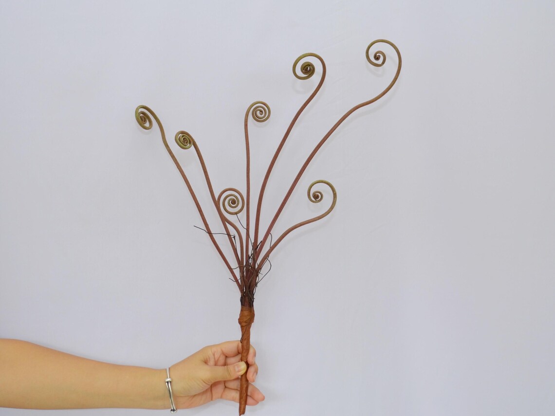 Artificial Fiddlehead Fern Curl, Decorative Spiral Fern, Faux Fern Stem ...