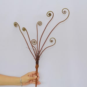 Artificial Fiddlehead Fern Curl, Decorative Spiral Fern, Faux Fern Stem ...