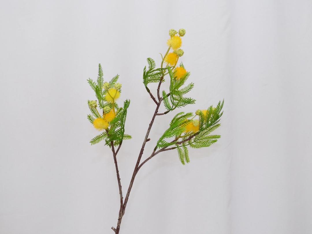 Artificial Acacia Stem With Leaves, Faux Yellow Mimosa Branch, Faux ...