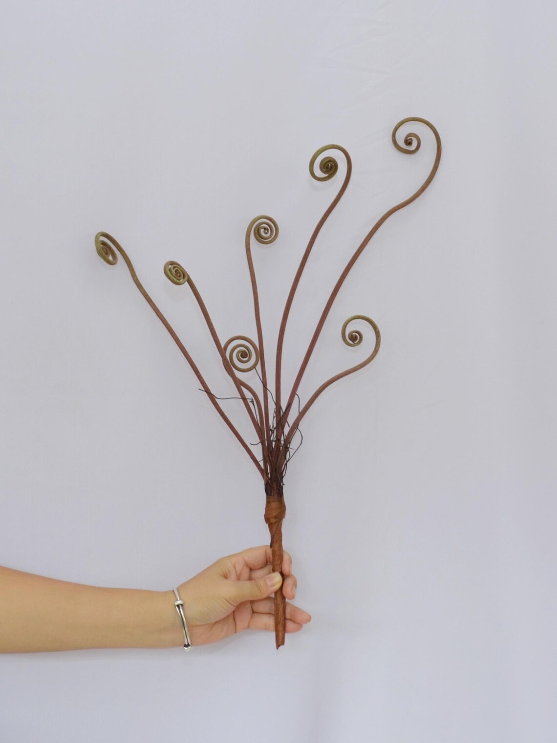 Artificial Fiddlehead Fern Curl, Decorative Spiral Fern, Faux Fern Stem ...