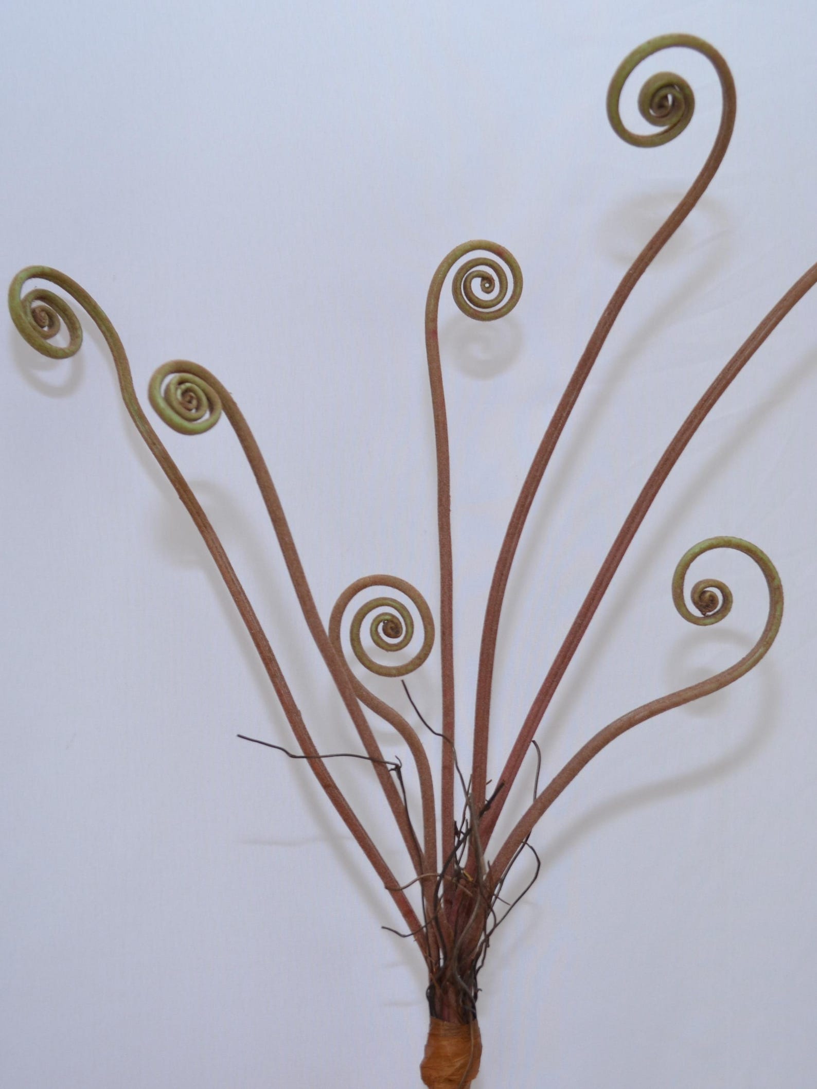 Artificial Fiddlehead Fern Curl, Decorative Spiral Fern, Faux Fern Stem ...