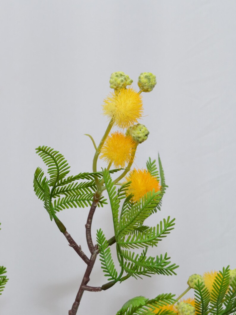 Artificial Acacia Stem With Leaves, Faux Yellow Mimosa Branch, Faux ...
