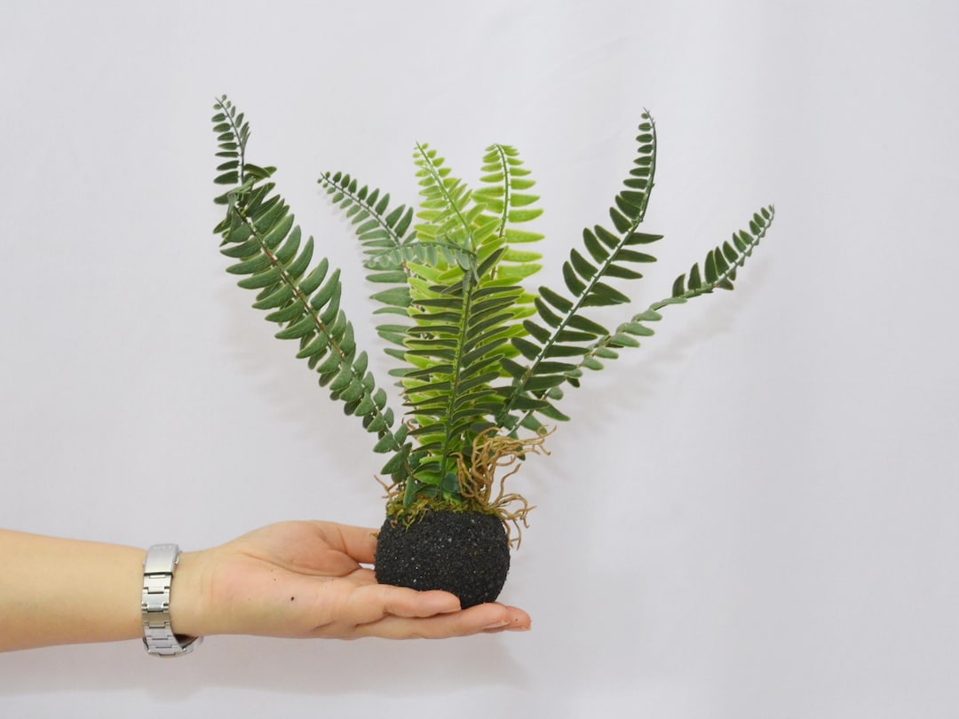 Artificial Fern With Moss Ball and Roots, Lifelike Faux Fern Plant for ...