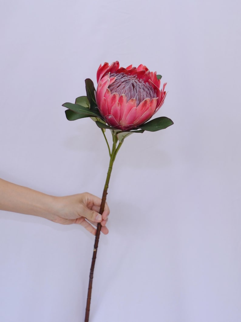 Artificial King Protea Flower, Realistic Faux Protea Stem, Floral ...