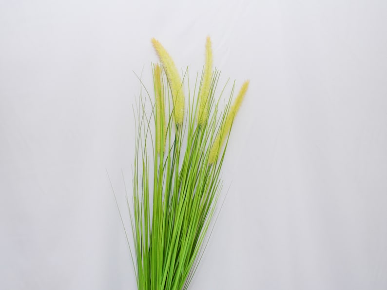 Artificial Setaria Viridis Plants With Leaves, Faux Green Foxtail, Realistic Grass Stems ...