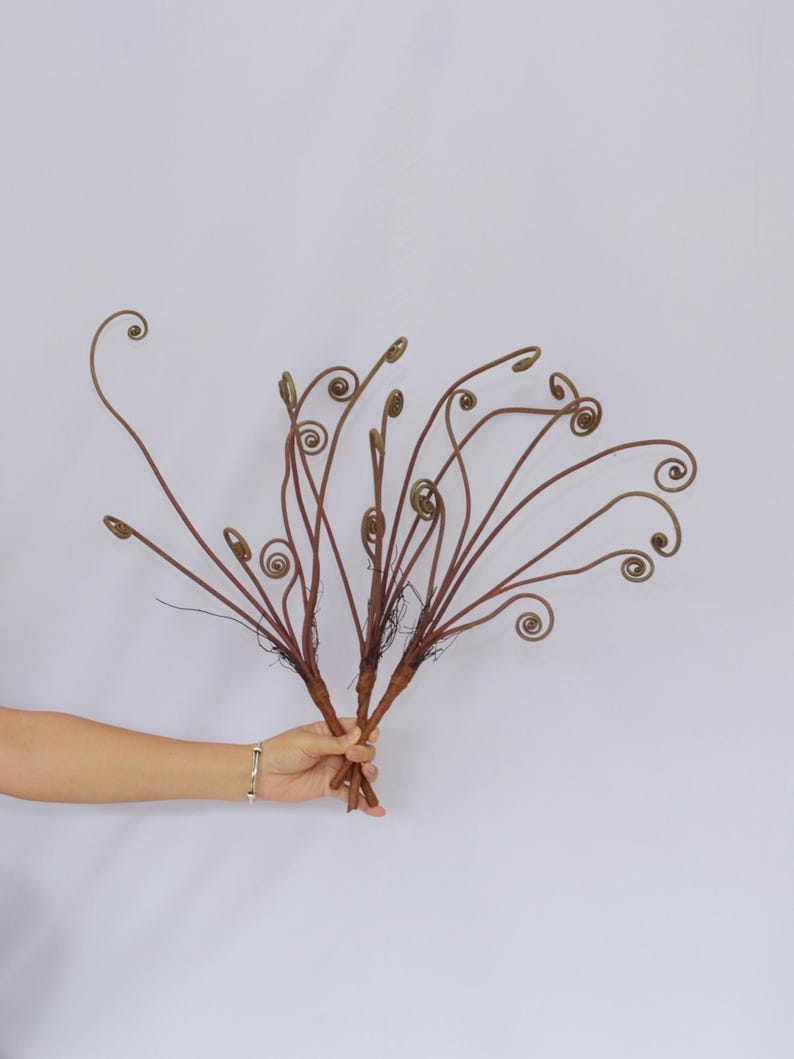 Artificial Fiddlehead Fern Curl, Decorative Spiral Fern, Faux Fern Stem ...