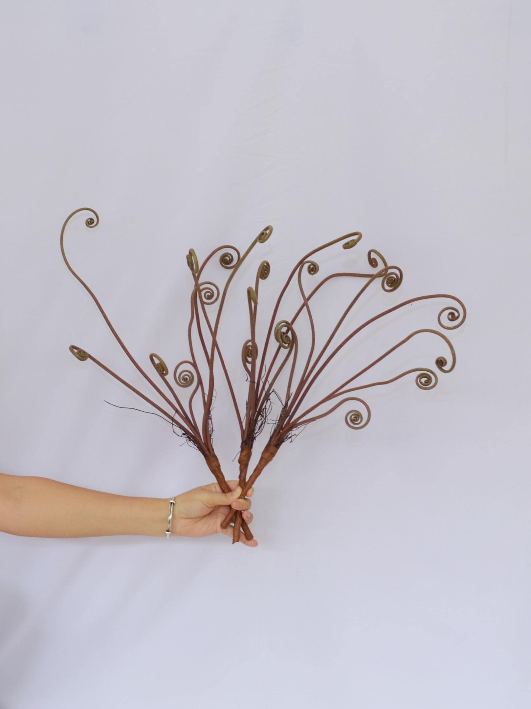 Artificial Fiddlehead Fern Curl, Decorative Spiral Fern, Faux Fern Stem ...