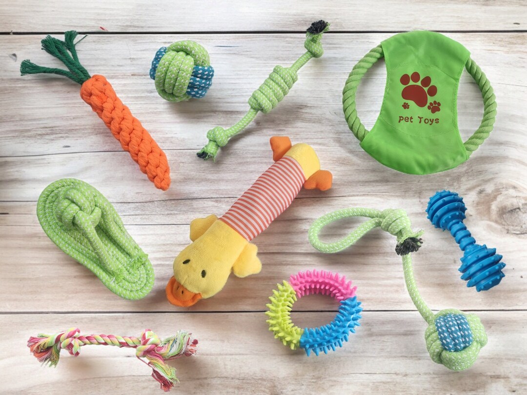 10 Piece Set of Dog Toys, Dog Toy Bundle, Dog Toy Set, Puppy Toy Pack ...