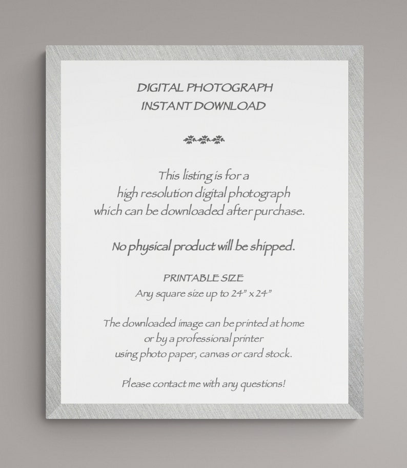 State Fair Black and White Photograph Printable Wall Art Instant ...